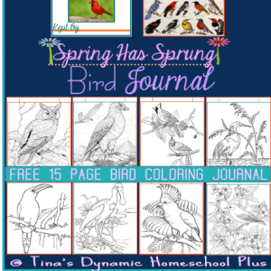 Middle School Homeschool Science 50 Free Spring Activities