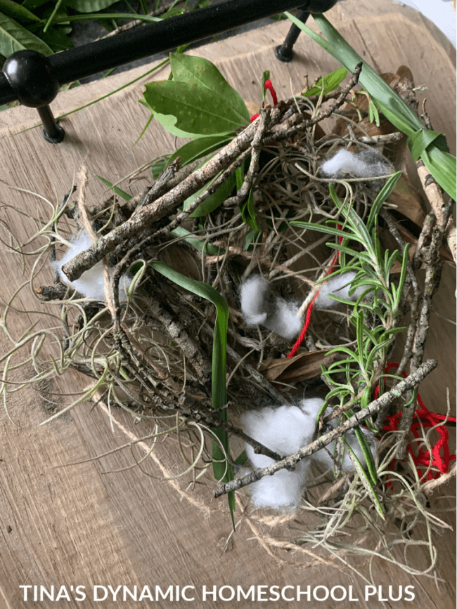 How to Make a Kid's Fun and Easy Bird Nest Activity