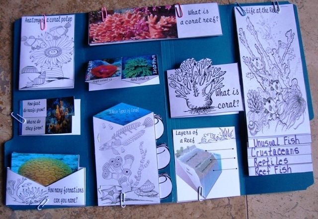 Coral Reef Unit Study, Lapbook and Hands-on Ideas