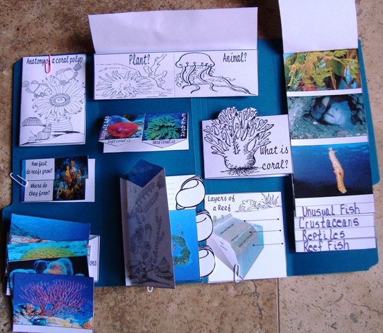 Coral Reef Unit Study, Lapbook and Hands-on Ideas